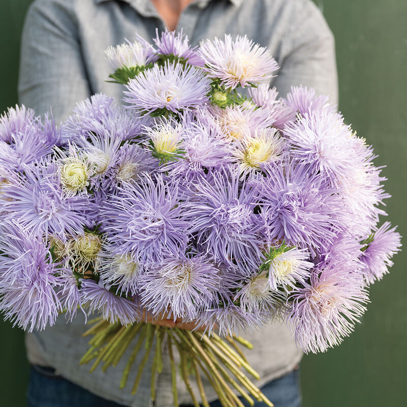 Cut Flower Seeds, For Your Cutting Garden. – Crawford Road